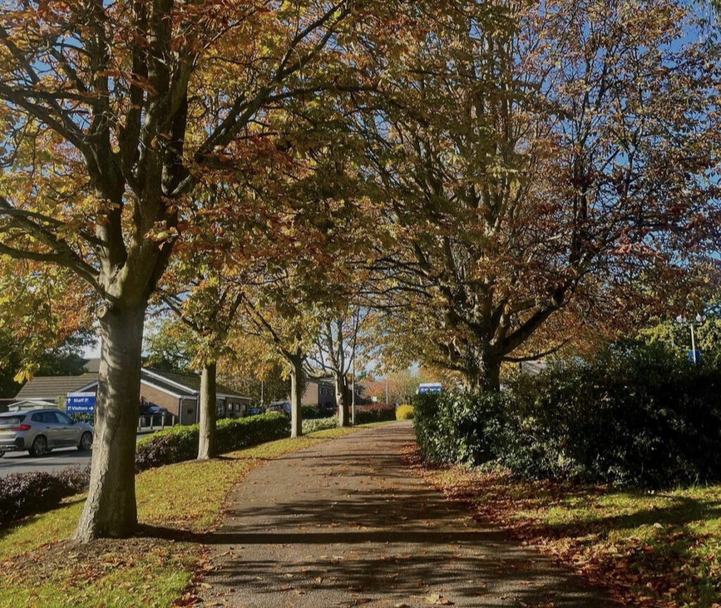 Feeling lonely at University - MindMate